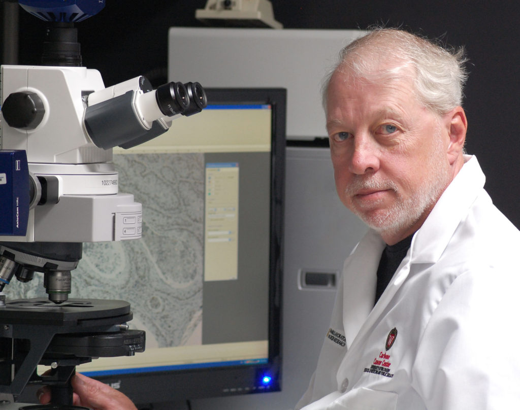 Human Cancer Virology – Carbone Cancer Center – UW–Madison