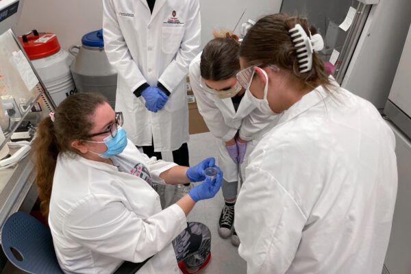 Carbone Cancer Center – University of Wisconsin-Madison – UW–Madison